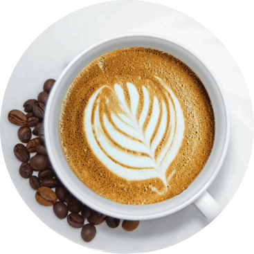Coffee Website HTML and CSS | CodingNepal